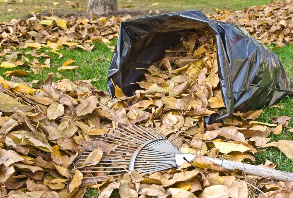 What are the Different Types of Rake? (with pictures)