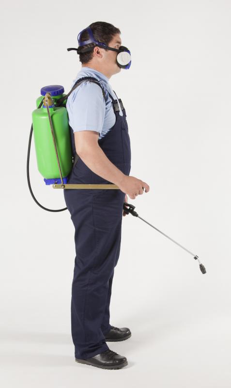 What is Pest Control? (with pictures)