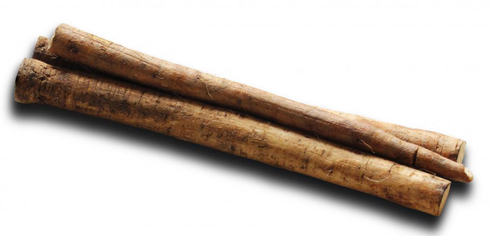 What is a Tap Root? (with pictures)