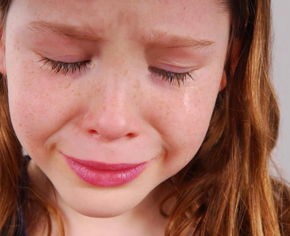 What are Creature Comforts? (with pictures)