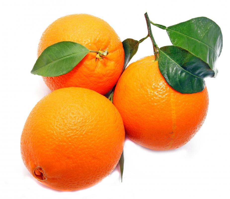 How Do I Choose the Best Orange Tree? (with pictures)