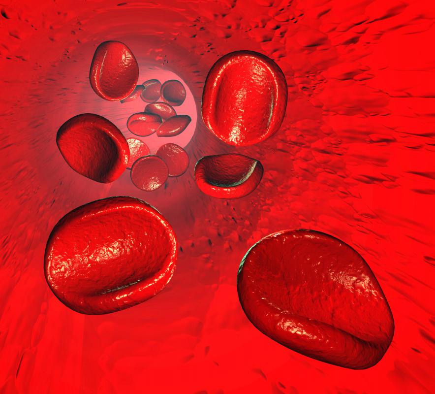 Iron Filled Red Blood Cell