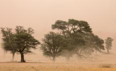 Where does Dust Come from? (with pictures)