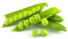 What Are the Different Types of Pea Plant? (with pictures)