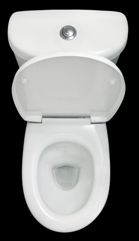 What Are the Different Kinds of Bidet Fittings? (with pictures)