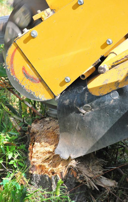 What is Eco Mulch? (with pictures)