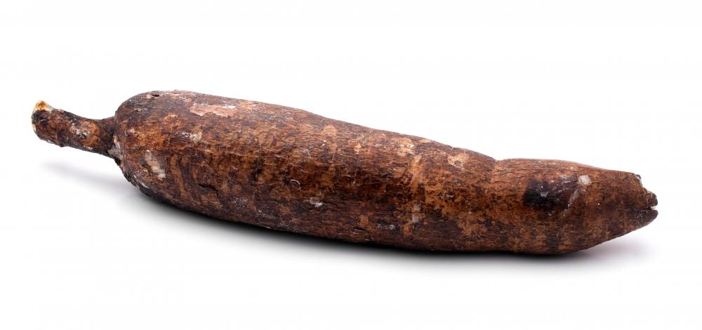 What is Yucca Extract? (with pictures)